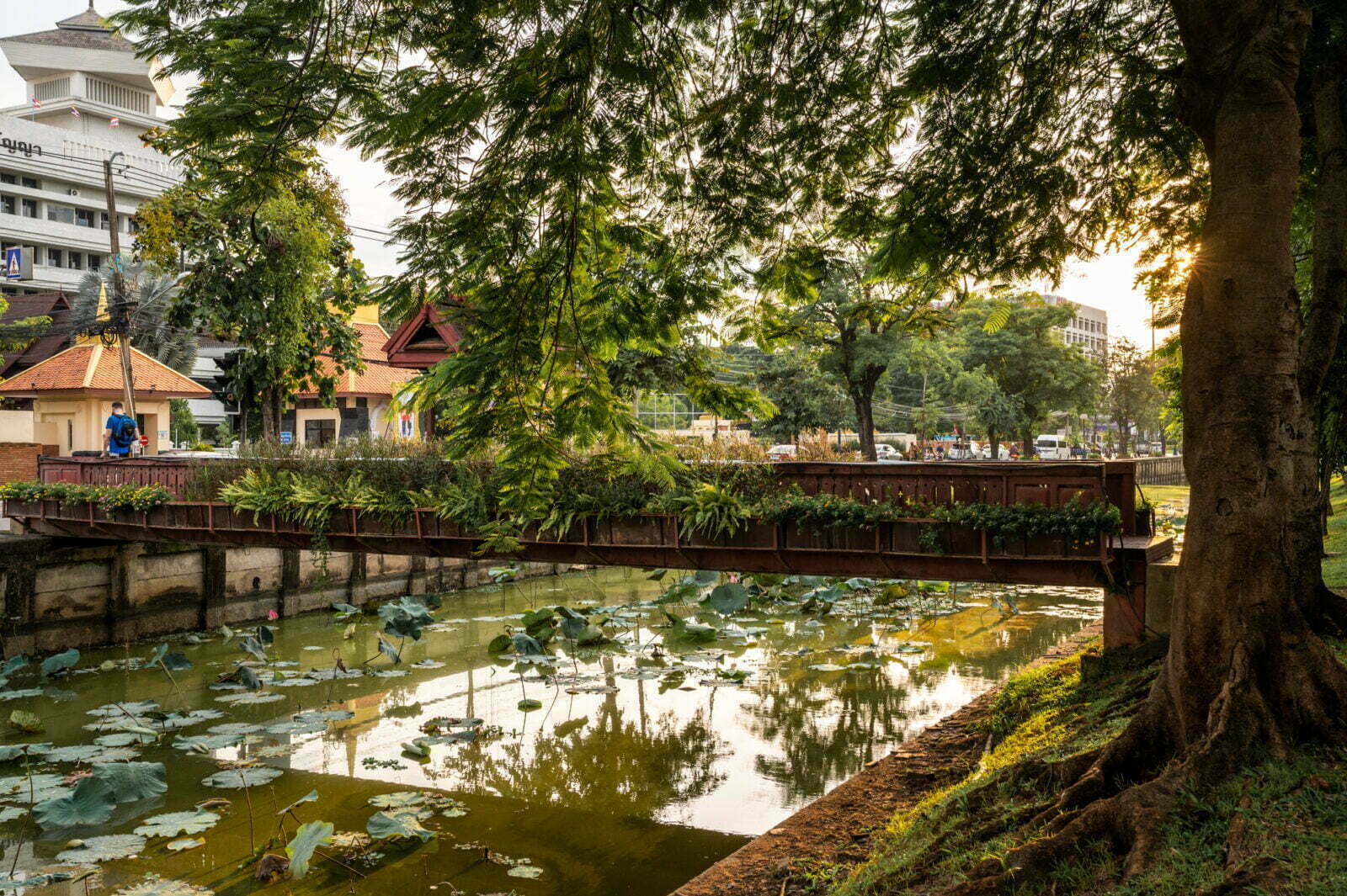 Chiang Mai: 23 Sehenswürdigkeiten und Geheimtipps
