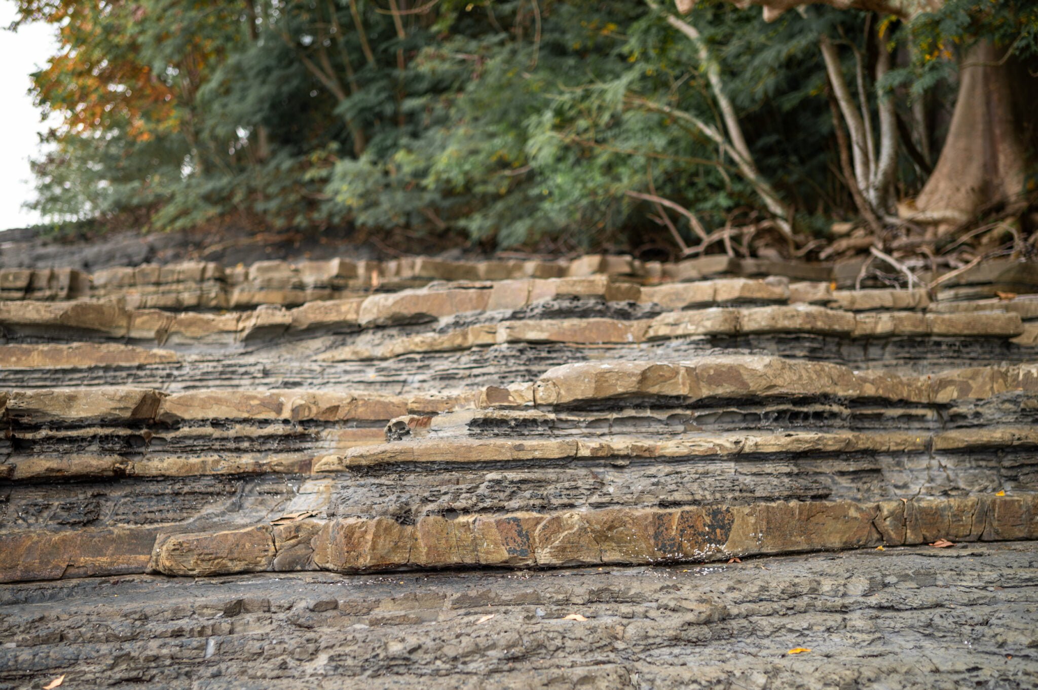 Koh Mook (Koh Muk): Die besten Strände & Sehenswürdigkeiten