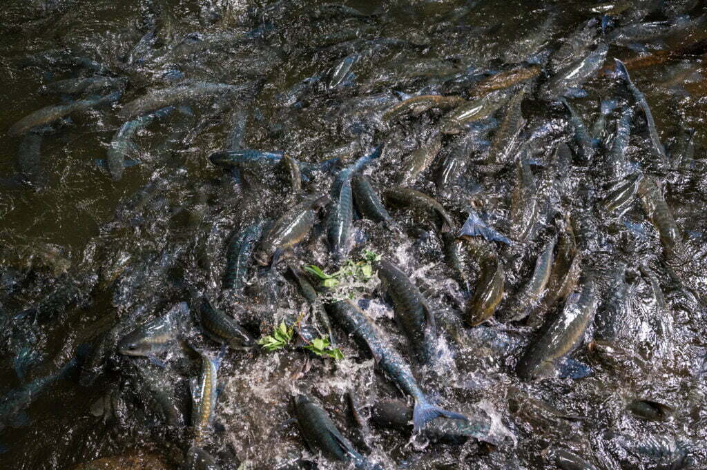 Pai Thailand: Die schönsten Sehenswürdigkeiten + Geheimtipps